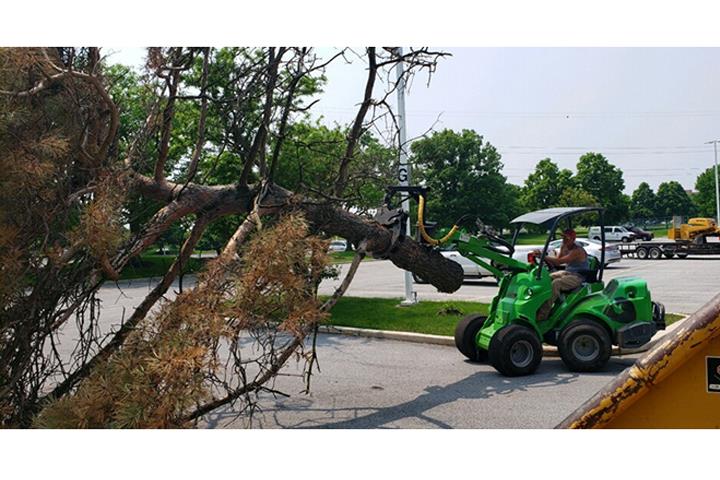 Timber Masters Tree Service - Schererville, IN